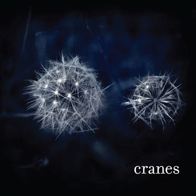 Cranes – Revolution Records
